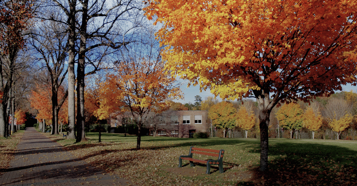 How to Ace Your US University Application: with Printable Checklist